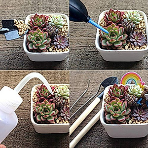 Metrmiss 1 14 Pieces Bonsai Set Succulent Garden Hand Tools with Mini Ra, w