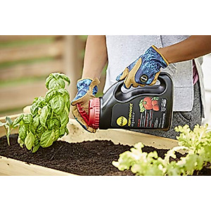 Miracle-Gro Performance Organics Edibles Plant Nutrition Granules - Plant Food with Natural & Organic Ingredients, for Tomatoes, Vegetables, Herbs and Fruits, 2.5 lbs.