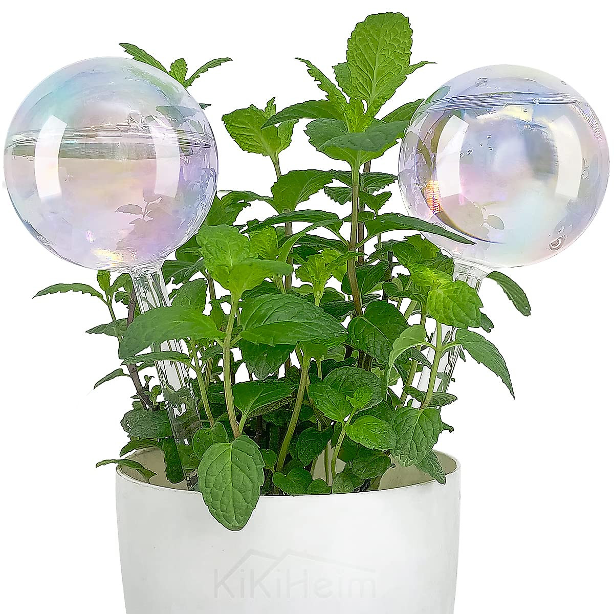 KiKiHeim 2Pcs Plant Watering Devices, Iridescent Self Watering Globes, Hand Blown Automatic Plant Waterer, Glass Watering Bulbs for Indoor Plants