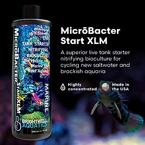 Brightwell Aquatics MicroBacter Start XLM - Concentrated Freshwater Nitrifying Bacteria - Quick Start Fish Tank Starter, Lift Microbe Levels & Water Filtering - Aquarium Water Treatments, 16.9 fl oz