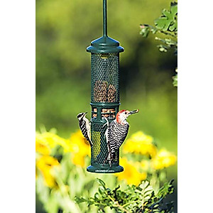 Squirrel Buster Nut Feeder Squirrel-Proof Bird Feeder for Nuts and Fruit, Two Meshes