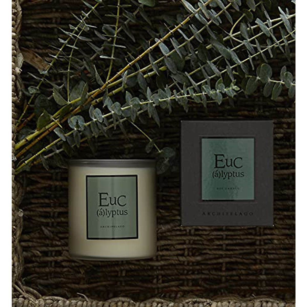 Archipelago Botanicals Eucalyptus Boxed Candle | Wild Eucalyptus, Palm Leaf and Musk | Clean Soy Wax Blend Burns 90 Hours (14 oz)