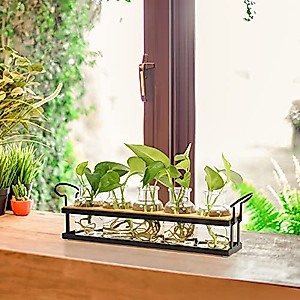 THYGIFTREE Plant Propagation Stations with Metal Stand, Tabletop Plant Terrarium for Propagating Hydroponic, Retro Glass Planter Flower Vase Home Kitchen Office Decor, Plant Lover Gifts, 5 Jars