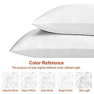 EHEYCIGA Satin Pillowcase for Hair and Skin Silk Pillowcase Set of 2 White Soft Pillow Cases 2 Pack Queen Size 20X30 Inches with Envelope Closure