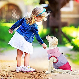 Idepet Pet Dog Cat Coat with Leash Anchor Color Patchwork Padded Puppy Vest Jacket Teddy Chihuahua Costumes Pug Cloth XS S M L (Small, Rose Red)