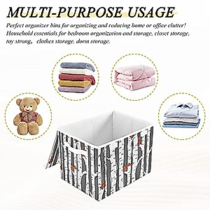 Krafig Cartoon Cute Animal Squirrel Foldable Storage Box Large Cube Organizer Bins Containers Baskets with Lids Handles for Closet Organization, Shelves, Clothes, Toys