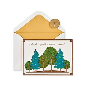 Papyrus Fathers Day Card for Dad (Made Every Difference In My Life)