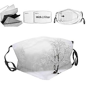 SARNFANS Tree Adult Reusable Face Mask,Winter Landscape Foggy Back,5-Ply Breathable Safety Unisex Adults Fashion Facial Face Masks for Women Men,White Black