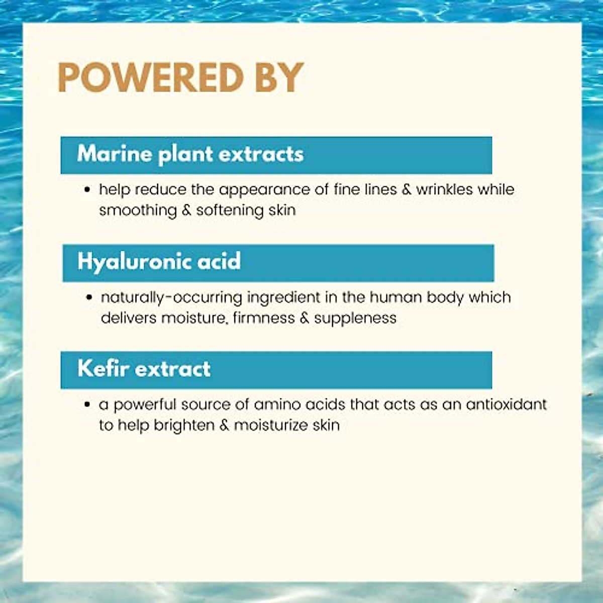 Quench Hydrating Primer - Rainforest Of The Seaâ„ Collection