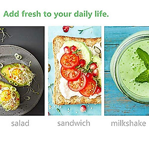 LIVEBAY Sprouting Jar Kit Stainless Steel Kitchen Sprouting Lids and Stands Seed Sprouter Set Organic Healthy Fresh 1L Wide Mouth Mason Jar for Broccoli, Alfalfa, Mung Beans