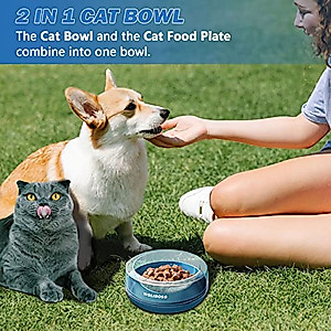 12oz 2 in 1 Cat Water Bowl Dog Water Bowl - Cat Food Bowl & Whisker Fatigue Cat Bowl Plate for Indoor Outdoor, Detachable Wobble Dog Interactive Cat Bowls, Pet Travel Bowls Blue
