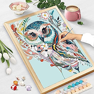 DIY Paint by Numbers for Kids & Adults & Beginne,DIY Canvas Painting Gift Kits for Home Decoration,Rainbow Owl Home Wall Decor 16x20''(Without Framed)