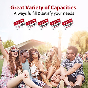 [Gigastone] 256GB Micro SD Card, Gaming Plus, MicroSDXC Memory Card for Nintendo-Switch, Steam Deck, 4K Video Recording, UHS-I A1 U3 V30 C10, up to 100MB/s, with Adapter