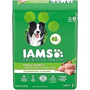 IAMS Adult Minichunks Small Kibble High Protein Dry Dog Food with Real Chicken, 40 lb. Bag