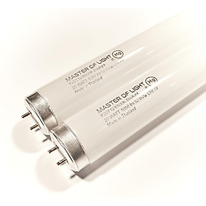 F20T12/D (2 Pack) 24 Inch 20 Watt T12 Daylight Fluorescent Tube Light Bulb 20W 6500K Replaces - F20T12/D/ECO/UPC F20T12/SUN/ECO F20T12/D/ECO F20T12/D/ALTO (2)