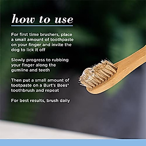 Burt's Bees Natural Oral Care Kit for Puppies, Flavorless, 2.5 oz Tube and Bamboo Brush| Puppy Training Toothbrush and Toothpaste with Coconut Oil (2.5 oz)