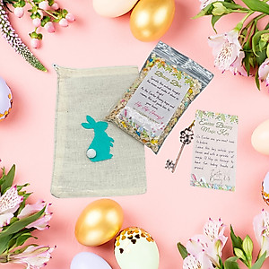 Easter Bunny Evidence Kit - Easter Bunny Magic Key, Bunny Footprints, Easter Bunny Letter, Bunny Bait, Easter Bunny Proof