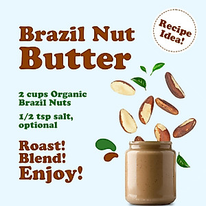 Food to Live - Organic Brazil Nuts, 1 Pound – Non-GMO, Raw, Whole, No Shell, Unsalted, Kosher, Vegan, Keto, Paleo Friendly, Bulk, Rich in Selenium