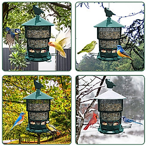 Bird Feeders for Outdoors Hanging, Way2Furn Wild Bird Feeder Squirrel Proof, Adjustable Metal Outside Feeder with 3.8 lbs Seed Large Capacity for Cardinal, Sparrow, Finch, Chickadee (Green)