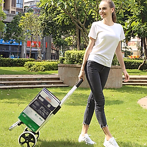 Shopping Trolley,Foldable Shopping Cart 2 Wheels Climbing Trolly/Aluminum Alloy/Waterproof Shopping Bag/Collapsible Push Pull Carts 45L