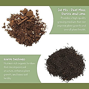 Citrus Tree Potting Soil Mix (12 Quarts), Special Blend for Indoor Oranges, Lemons, Limes and More