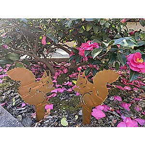 Wetufin - 2pcs Steel Silhouette Squirrel with Rusty Patina Garden Metal Art Decoration Decoration Animal Statue Stake for Garden Yard Home, 8.27 * 4.72in