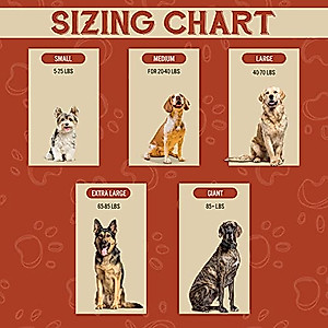 Deer Antlers for Dogs - Grade A, Naturally Shed Antlers | Long Lasting Dog Bones for Aggressive Chewers & Teething Puppies | Chew Toys for All Breeds | USA Made & Veteran Owned (Large: 6-8", 1-Pack)