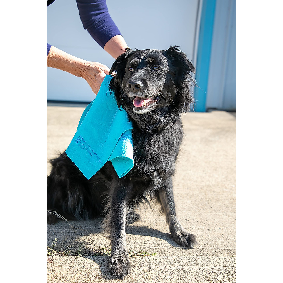 The Original Quality German Shammy Wholesaler since 1983, 6 MIDNIGHT BLACK XL 20x28 inch, Authentic 260 Gram Chamois Cloths, Super Absorbent Chamois Towels for car, pet, kitchen, BONUS KITCHEN SHAMMY!