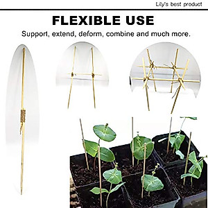 HOPELF 50 Pack 16" Bamboo Plant Stakes for Wood Garden Sticks，Wooden Indoor Gardening Floral Potted Plant Support，Crafts, More Size Choices 8"/12"/16"