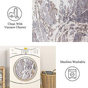 Gray Marble Distressed Area Rug 5'x 7' for Living Room Bedroom, Modern Abstract Rug with Non-Slip Backing Non Shedding Stain Resistant, Machine Washable Carpet for Dining Room