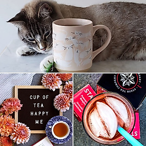 Stash Twinings Herbal Tea Sampler - Caffeine-Free Assortment - Individually Wrapped Flavored Bags - 48 Ct, 24 Flavors