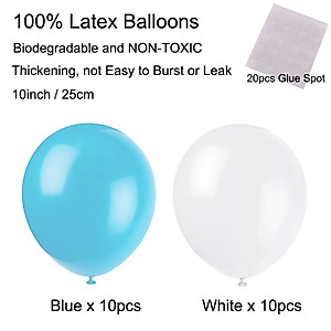 ZERODECO Birthday Decoration Set, Happy Birthday Banner Bunting with 4 Paper Fans Tissue 6 Paper Pom Poms Flower 10 Hanging Swirl and 20 Balloon for Birthday Party Decorations -Blue,Sky Blue and White