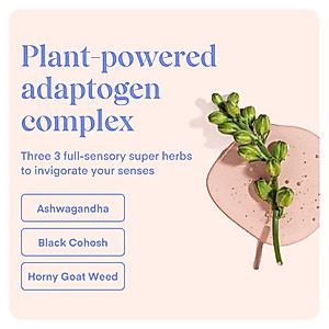 Playground Date Night, Water-Based Personal Lubricant with Naural Ingredients, Safe to Use with Latex Condoms, Lube for Men, Women, and Couples, Champagne & Vanilla Scent, 3.7 Fl. Oz.