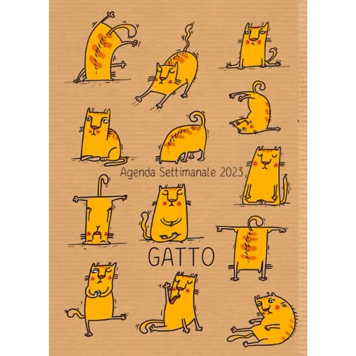Agenda Settimanale 2023 Gatto: Planner Settimanale con Intervallo, Formato Piccolo Simile ad A5, da Gennaio a Dicembre 2023, Perfetta Idea Regalo Gatti (Italian Edition)