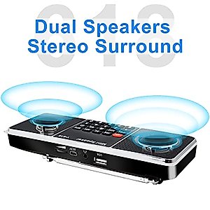 LEFON Multifunction Digital FM Radio Media Speaker MP3 Music Player Support TF Card USB Drive with LED Screen Display and Setting Timing Shutdown Function (Black)