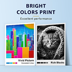 MYCARTRIDGE Remanufactured Ink Cartridge Replacement for Epson 288XL 288 XL T288XL for Epson XP-430 XP-330 XP-434 XP-440 XP-446 XP-340 Printer Ink Cartridges (1 Black,1 Cyan,1 Magenta, 1 Yellow)