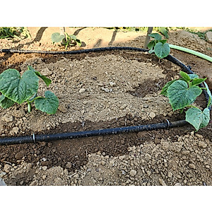 Atlantic Short Soaker Hose 1/2 IN.x 5FT, Solid Brass Connectors