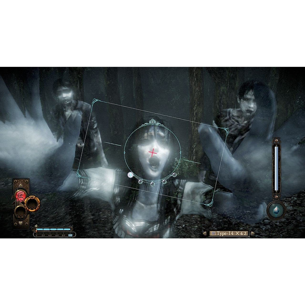 Fatal Frame: Maiden of Black Water - Nintendo Switch
