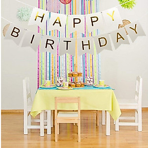 Fall Birthday Party Decorations Burgundy Champagne Orange Tissue Pom Pom Happy Birthday Banner Fall Party Decorations/30th Birthday Decorations/Burgundy Birthday Decorations