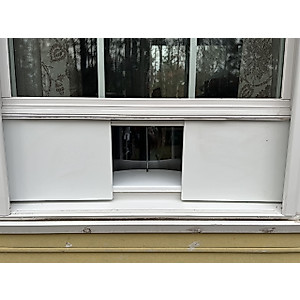 Clearview Window Bird Feeder by Paradise Birdhouses