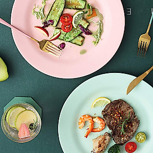 Set of 10 Large Dinner Plates 11 Inch, Reusable Wheat Straw Dessert Dishes, Round Pasta Salad Serving Plate, Unbreakable Kids Fiber Tableware for Party Steak Pizza (Beige)