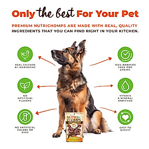 NutriChomps Dog Chews, 2.5-inch Knots, Easy to Digest, Rawhide-Free Dog Treats, 8 Count, Real Chicken flavor