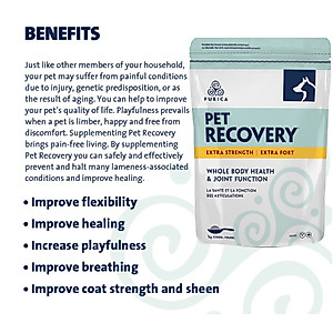PURICA Pet Recovery Extra Strength - Joint Support for Cats & Dogs - Glucosamine - Vitamins for Joint Health. Suitable for Small & Large Breeds - Transform Your Pet's Well-Being with 1Kg Powder