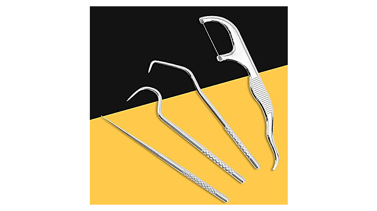 Stainless Steel Toothpicks & Floss Picks Kit for Travel & Daily Use