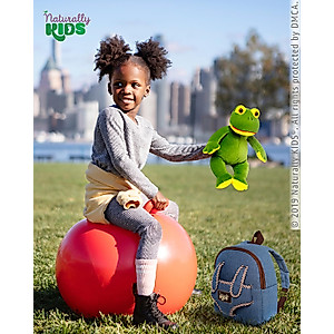 Frog Backpack for Toddler, Frog Toys for Kids 3-5, Frog Stuffed Animal