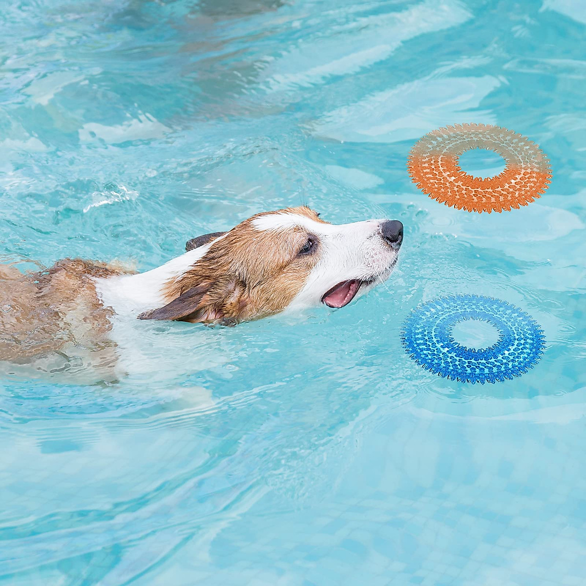 BLMHTWO 2PCS Dog Spiky Toy, Durable Squeaky Balls Chew Toy Rubber Puppy Dental Ring Dog Toy Pool Rings for Small Medium Dogs Indoor Outdoor Training Teeth Cleaning (Blue, Orange)