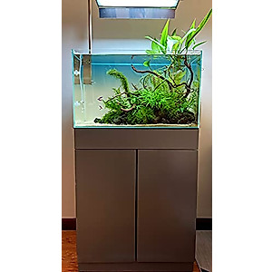 Allcolor Ultra Clear Rimless Aquarium Tank 2-22 gallons Low Iron Glass (21Gal - Top Glass Canopy)