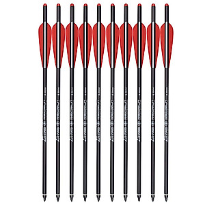 Carbon Crossbow Bolts 20 Inch Hunting Archery Arrows with 4" Vanes Replaced Arrowhead Tip (Pack of 12)