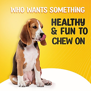 Raw Dog 7" Easy Chew Collagen Stick – 100% All Natural Corium Collagen, All Natural Dog Treats & Dental Chews, Non-GMO Grass Fed Beef, Odor Free