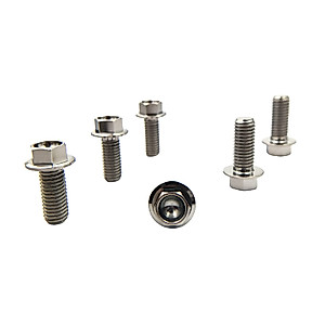 Rison Titanium Bolts Titanium Flanged Hex Head Bolt M6x1.0x12mm 6AL4V Aerospace Grade Ti Bolt Original Color Titanium Bolt for Motorcycle Car Modification Pack of 5